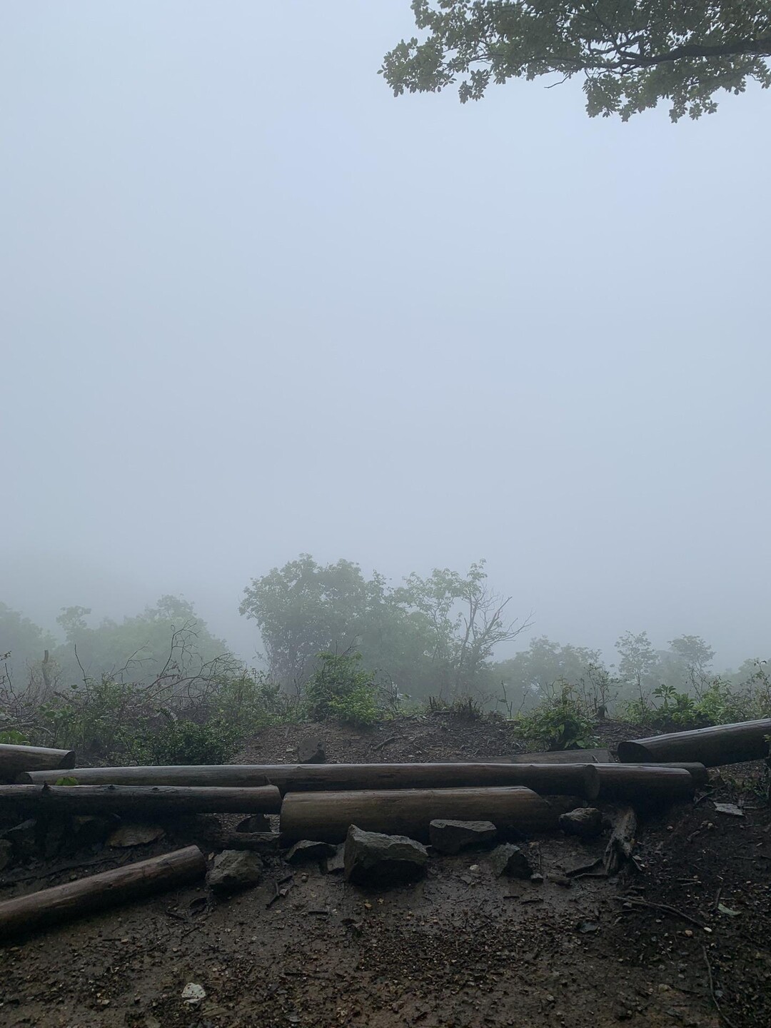 兜山・逢坂山 / pu_sanさんの音羽山・醍醐山の活動データ | YAMAP / ヤマップ