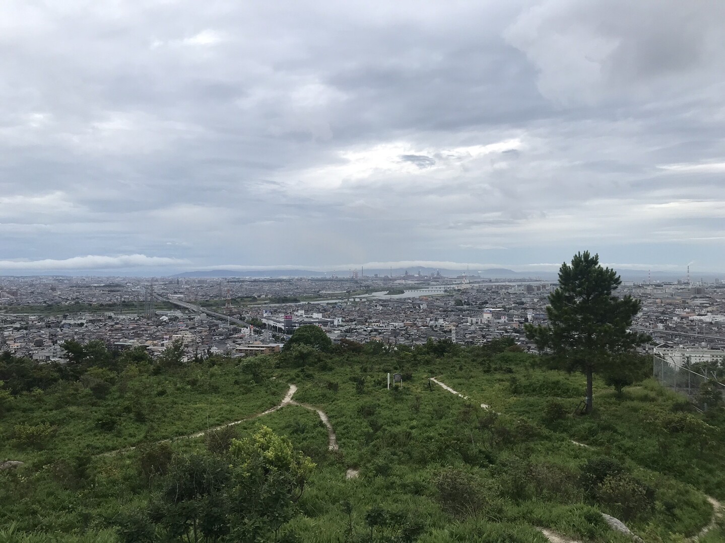 久々の山散歩🐾🐾 あぁ〜スッキリ / mimozaさんのモーメント | YAMAP / ヤマップ