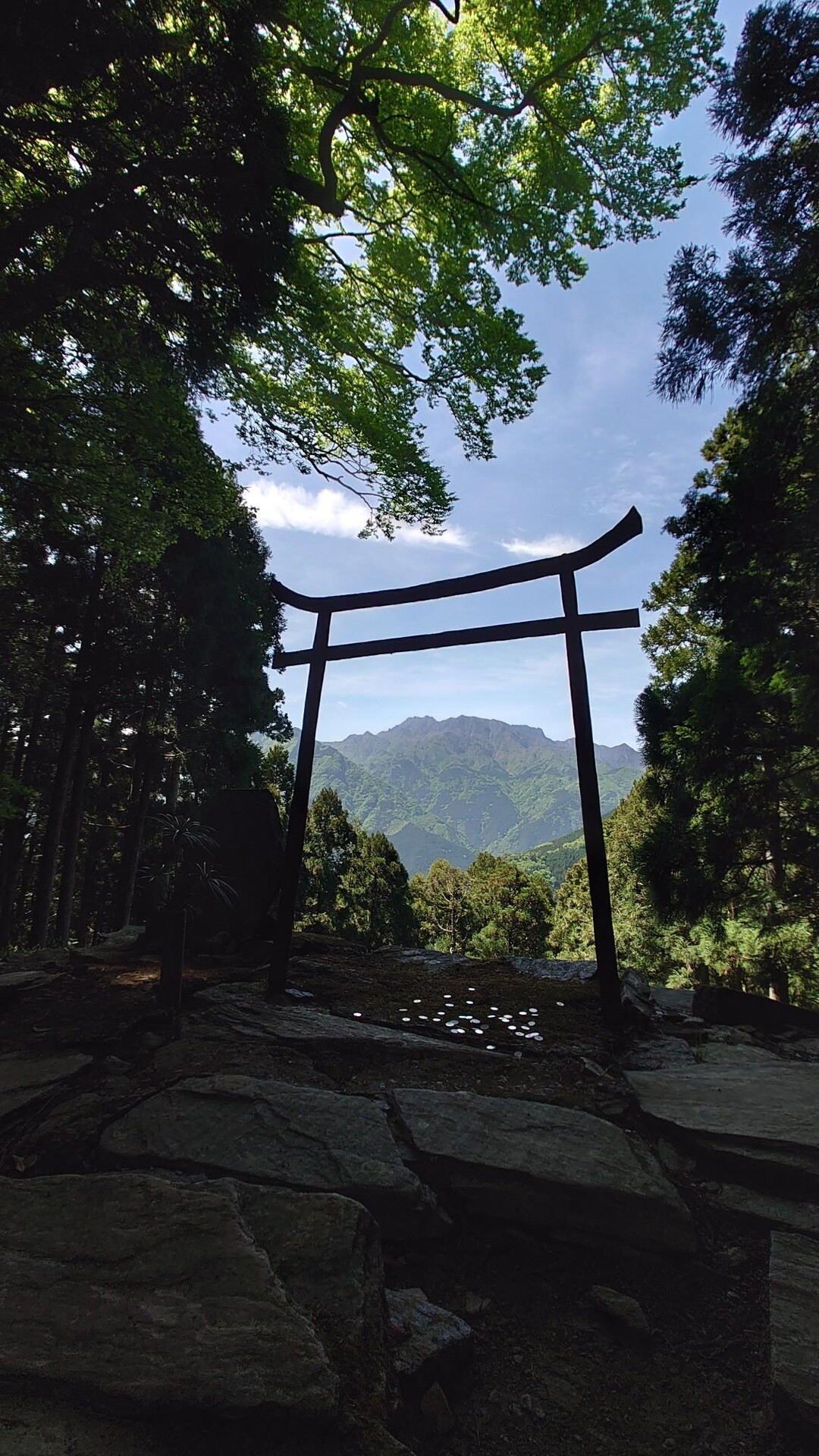 四国遍路 六十~六十五番＆別格十二~十三番 / ctcさんの赤星山・豊受山の活動データ | YAMAP / ヤマップ