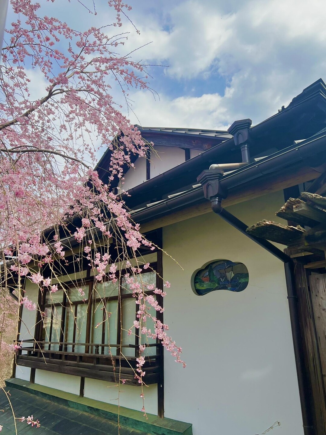 ちょっと早めの吉野桜🌸 / mocchiさんの吉野山・青根ヶ峰・百貝岳の活動データ | YAMAP / ヤマップ