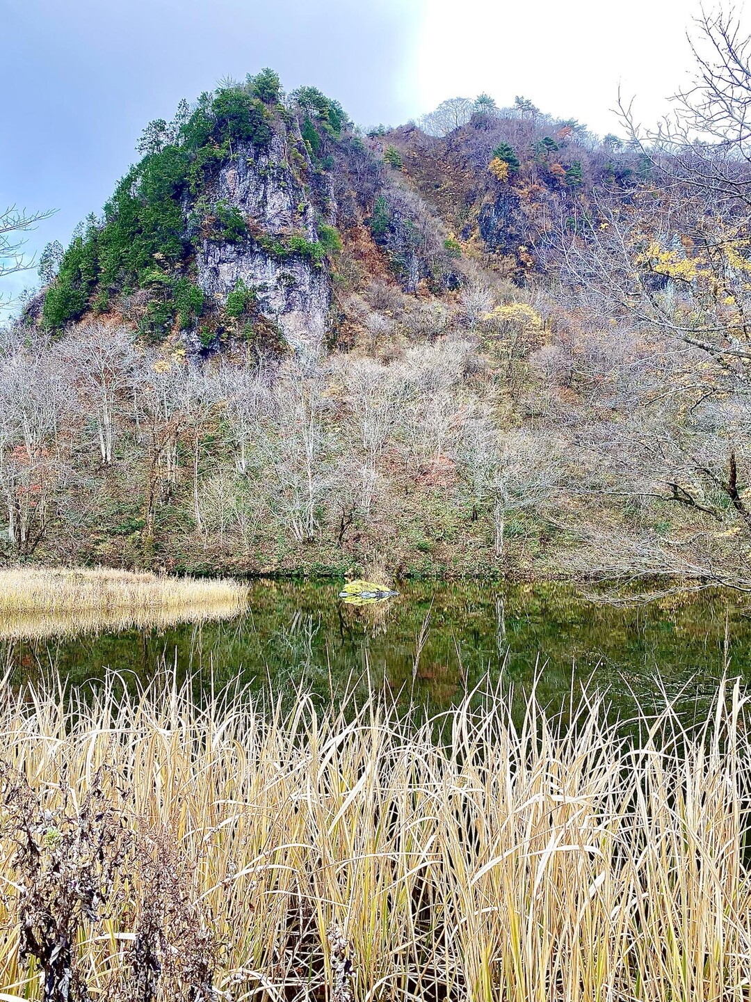 医王山 / Shigexさんの医王山・白兀山・箱屋谷山の活動データ | YAMAP / ヤマップ