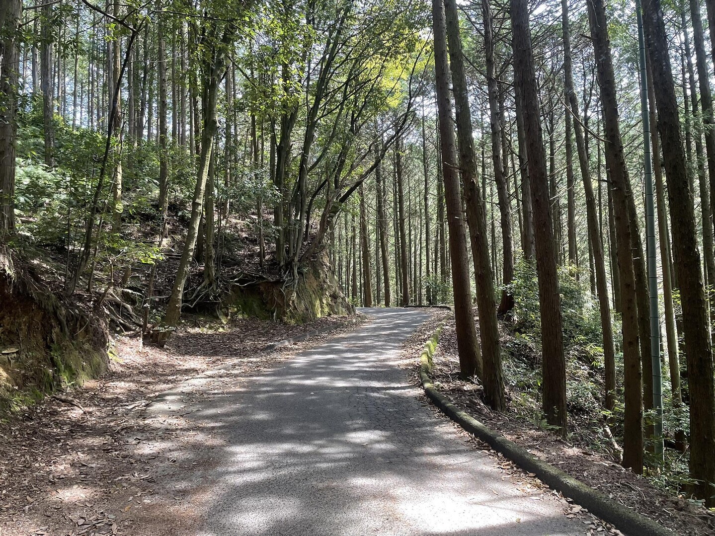 宝満山‥しか行けなかった😭 / daikiboさんの宝満山・三郡山・若杉山の活動データ | YAMAP / ヤマップ