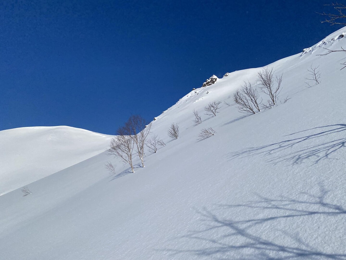 BC#23 イワオ〜アンヌプリ / k-sukeさんのニセコアンヌプリ・イワオヌプリ・チセヌプリの活動データ | YAMAP / ヤマップ