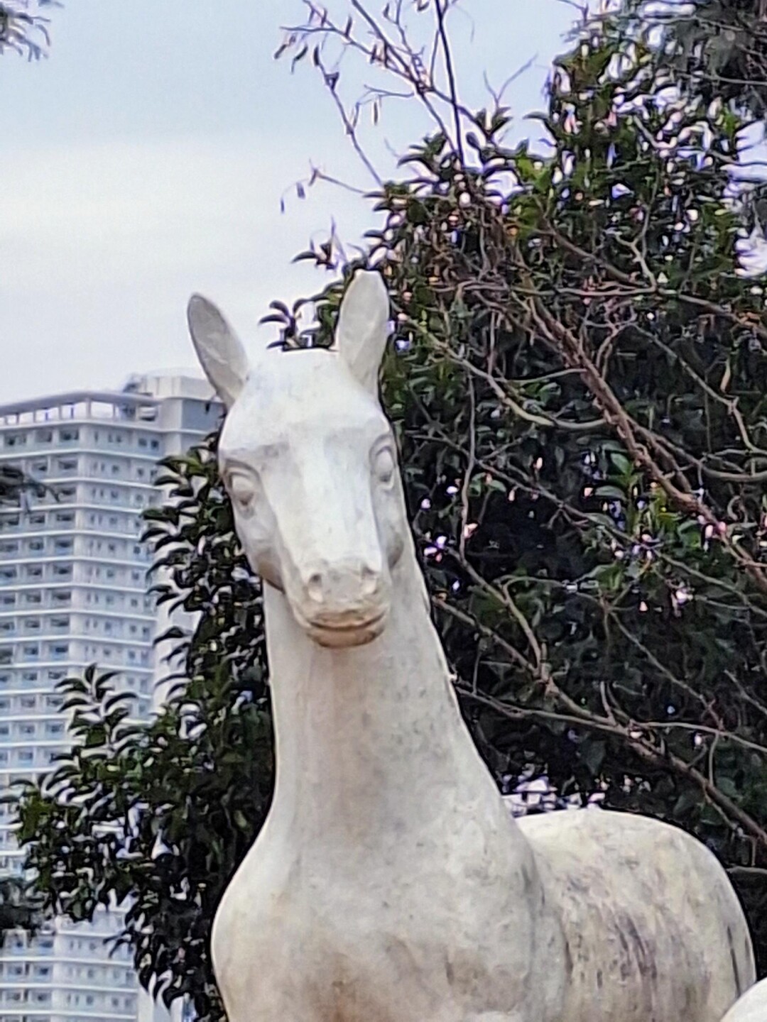 陣馬山 →高尾山 (横浜) / トリさん💚Keikoさんの鶴見川流域ウォーキングMAP（尾根歩き編）の活動データ | YAMAP / ヤマップ