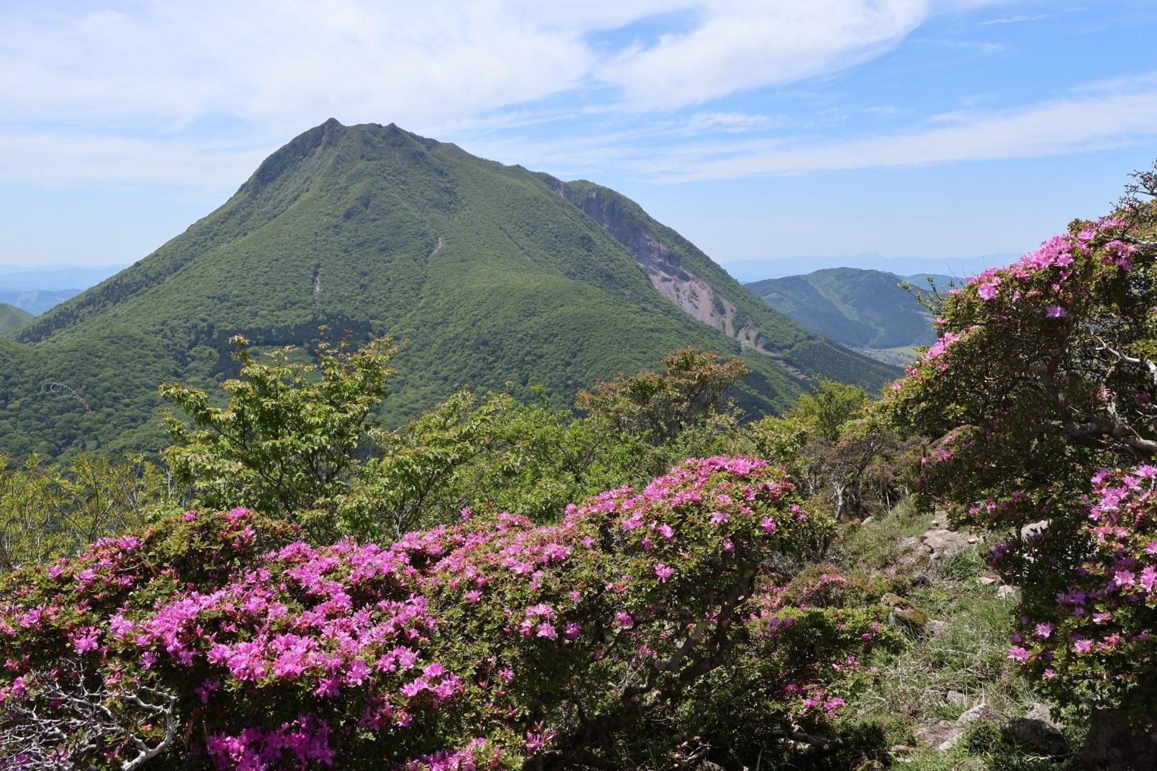 鶴見岳・南平台 / otu Yさんの由布岳・鶴見岳の活動日記 | YAMAP / ヤマップ