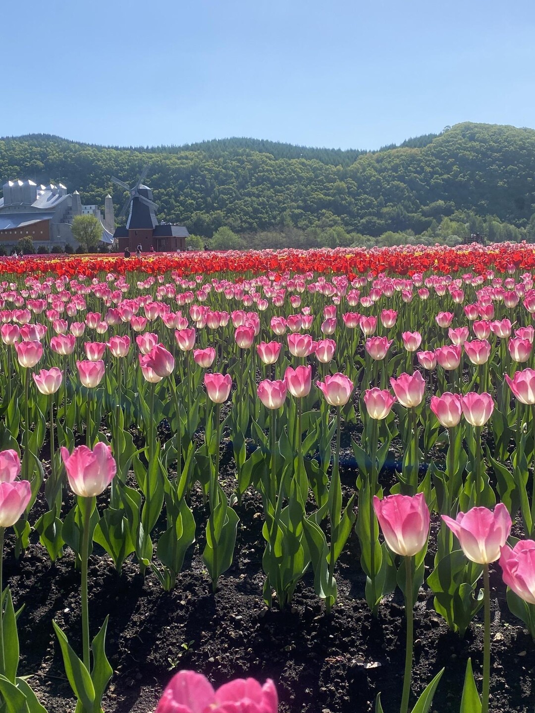 nice viewな藻琴山⛰️ / motokiさんの藻琴山の活動データ | YAMAP / ヤマップ