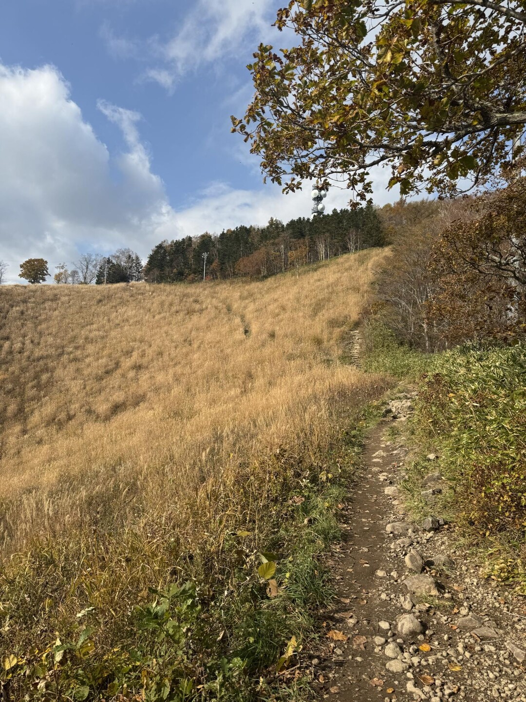 山鼻山・藻岩山 / ASAさんの藻岩山の活動データ | YAMAP / ヤマップ