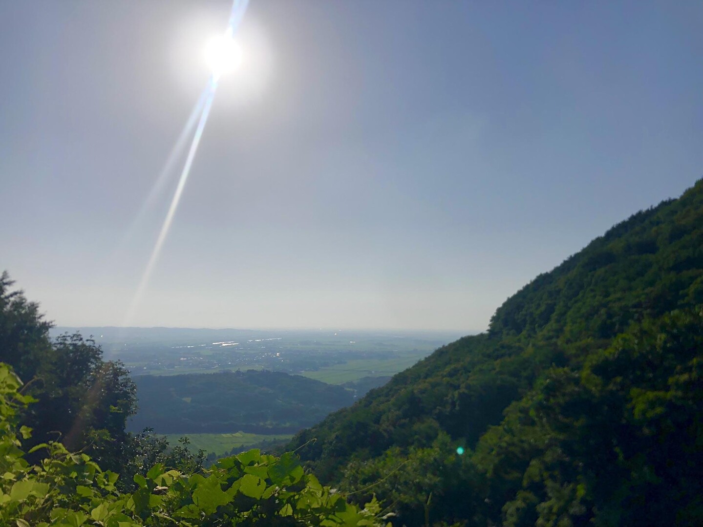 大好きな、この峠道⛰ / Naluさんの五頭山・菱ヶ岳・宝珠山の活動データ | YAMAP / ヤマップ
