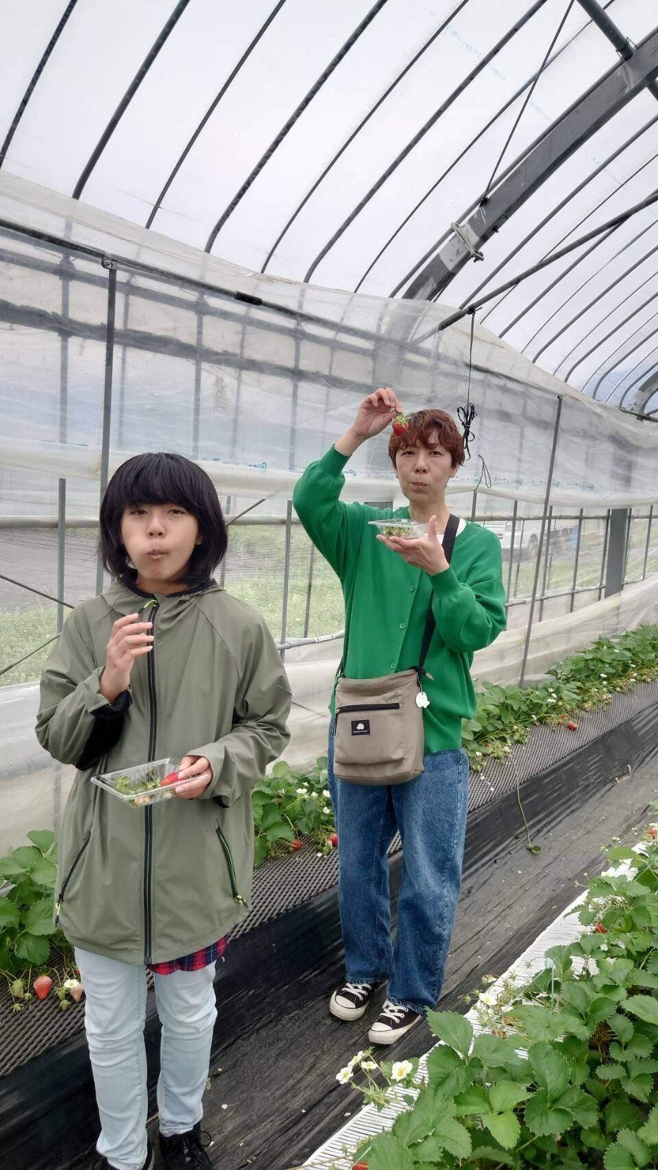 春休み最後の日曜日。お山の予定が雨☔ 娘... / まままさんのモーメント | YAMAP / ヤマップ