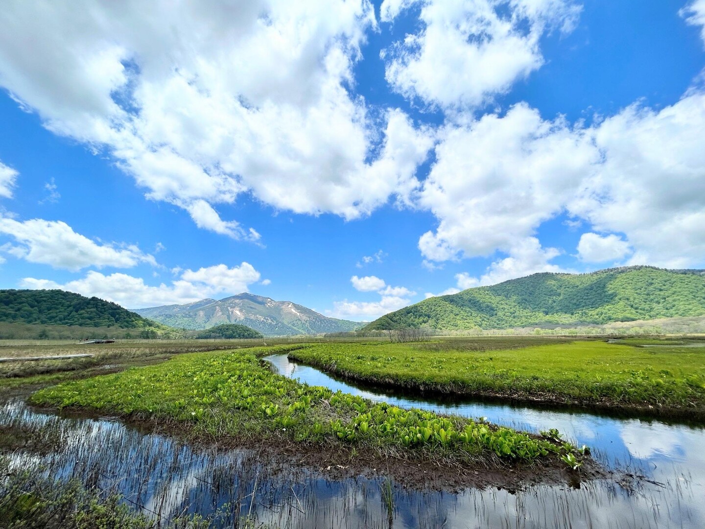 尾瀬ヶ原 / Yos 8611さんの尾瀬・燧ヶ岳の活動データ | YAMAP / ヤマップ