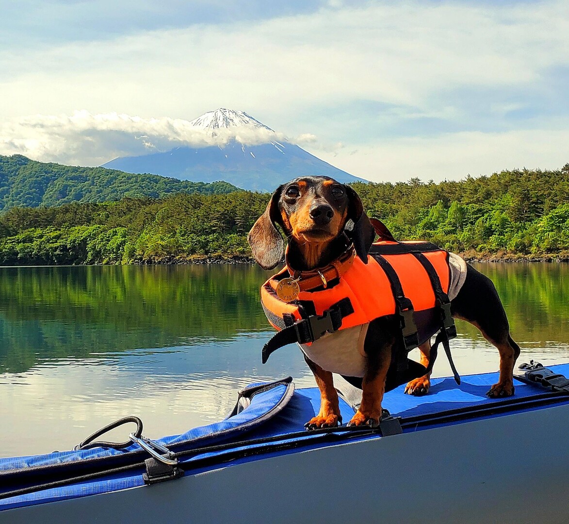 湖畔にて。 / おじゃさんのモーメント | YAMAP / ヤマップ