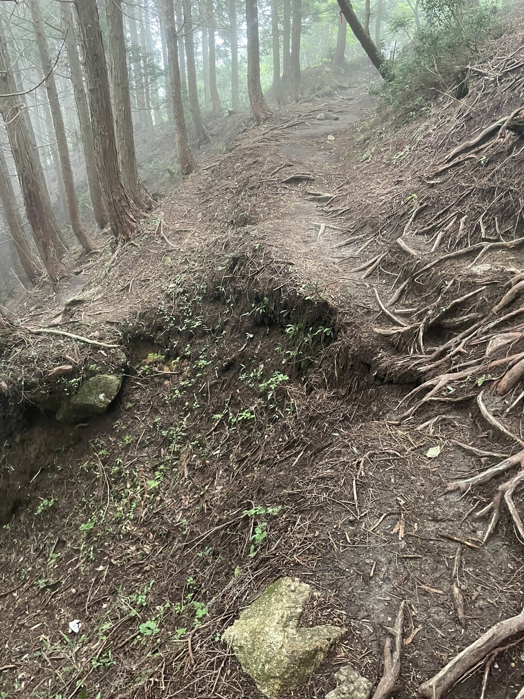 にゃあ♂さんの投稿したフィールドメモ | YAMAP / ヤマップ