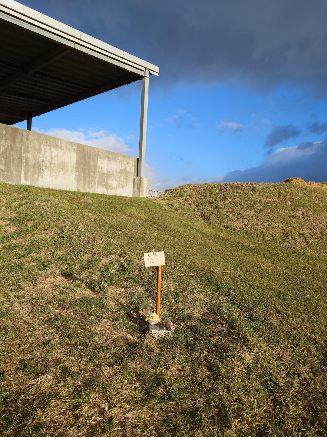 社台（二等三角点） / fujisunさんの白老町 の活動データ | YAMAP / ヤマップ