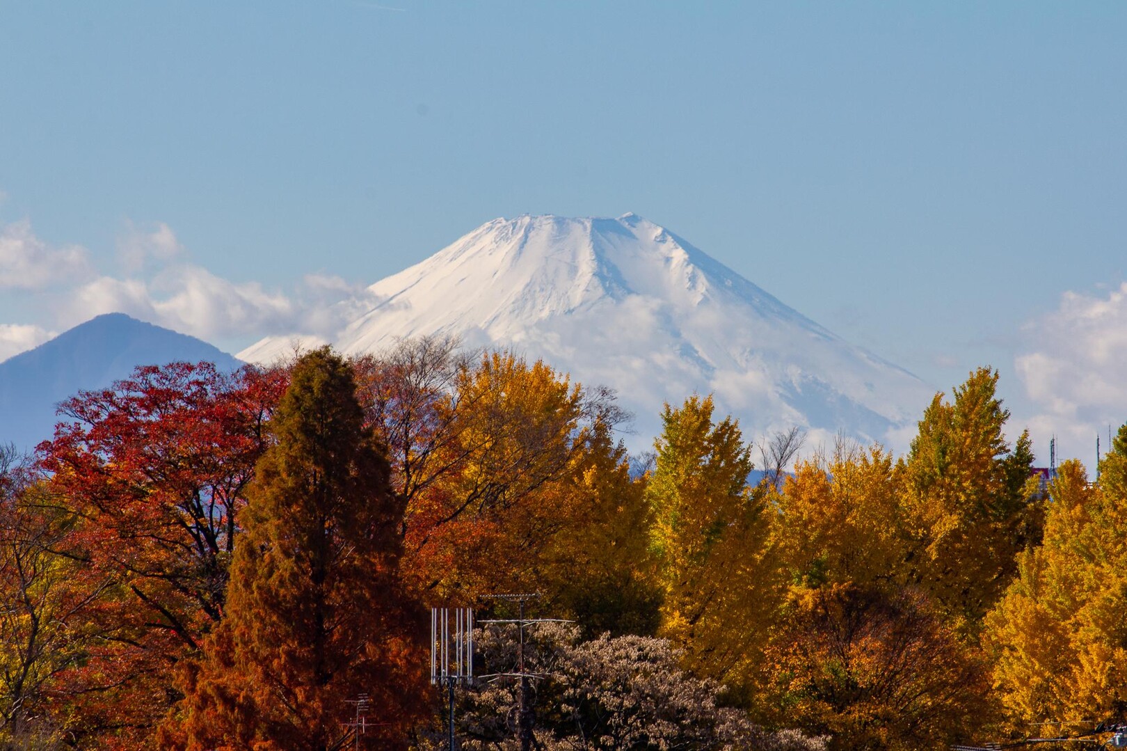 紅葉の木立と富士山 橋の上から見た紅葉... / stripeさんのモーメント | YAMAP / ヤマップ