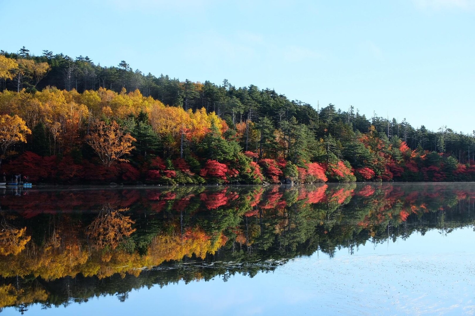 息を呑む…白駒池・丸山 / M_Akkyさんの八ヶ岳（赤岳・硫黄岳・天狗岳）の活動データ | YAMAP / ヤマップ