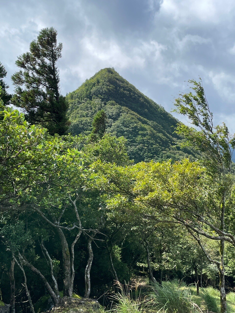黒峰・トンギリ山を先週のリベンジ ️ / AnKemiさんの向坂山・三方山・天主山の活動日記 | YAMAP / ヤマップ
