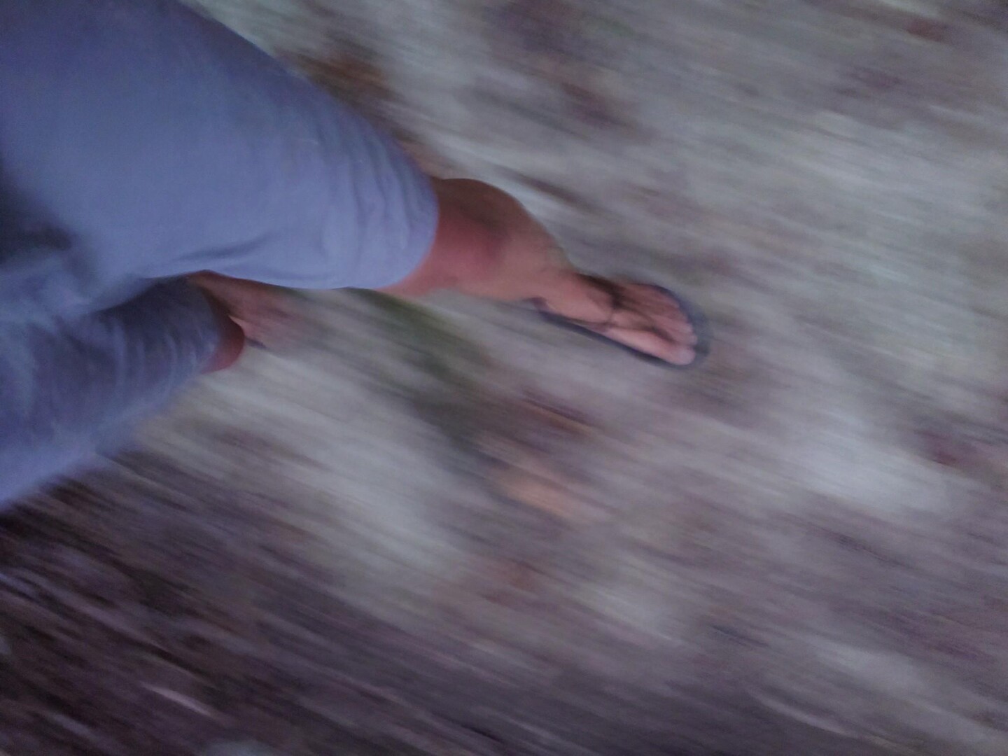 始業が早い朝 26分登頂 / ta2さんの鳴神山・吾妻山の活動データ | YAMAP / ヤマップ