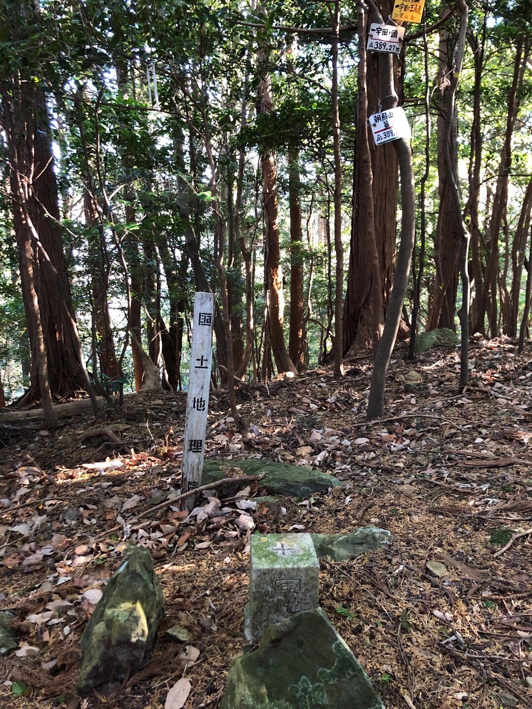 一宇田ノ頭（朝熊山第ニ）389.3m (低山巡り) 伊勢市 / isisさんの朝熊ヶ岳（朝熊山）・鼓ヶ岳・鷲嶺（袴腰山）の活動データ | YAMAP / ヤマップ