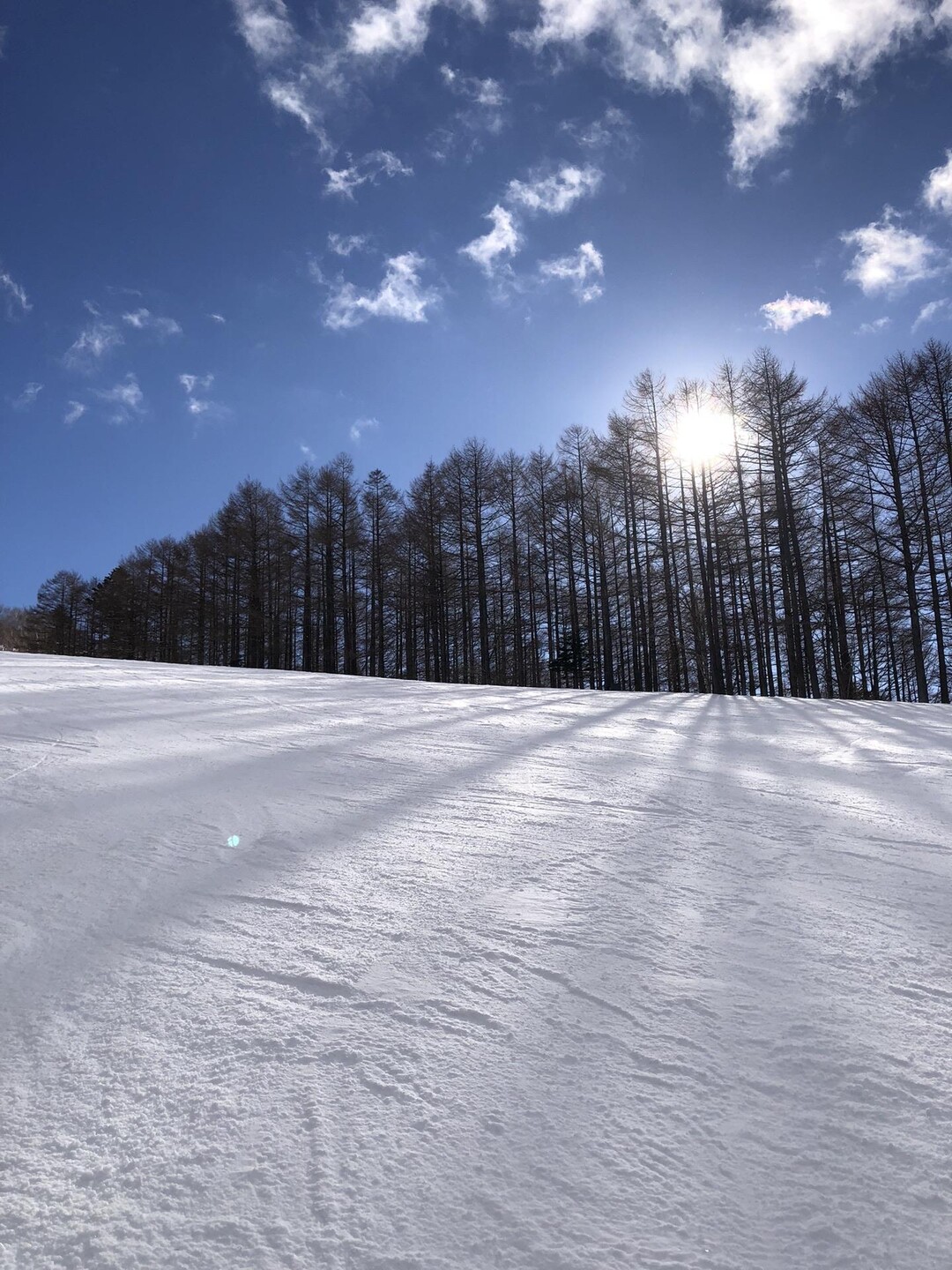 2023 snow tour ☆ / PANAPPさんのウォーキングの活動データ | YAMAP / ヤマップ