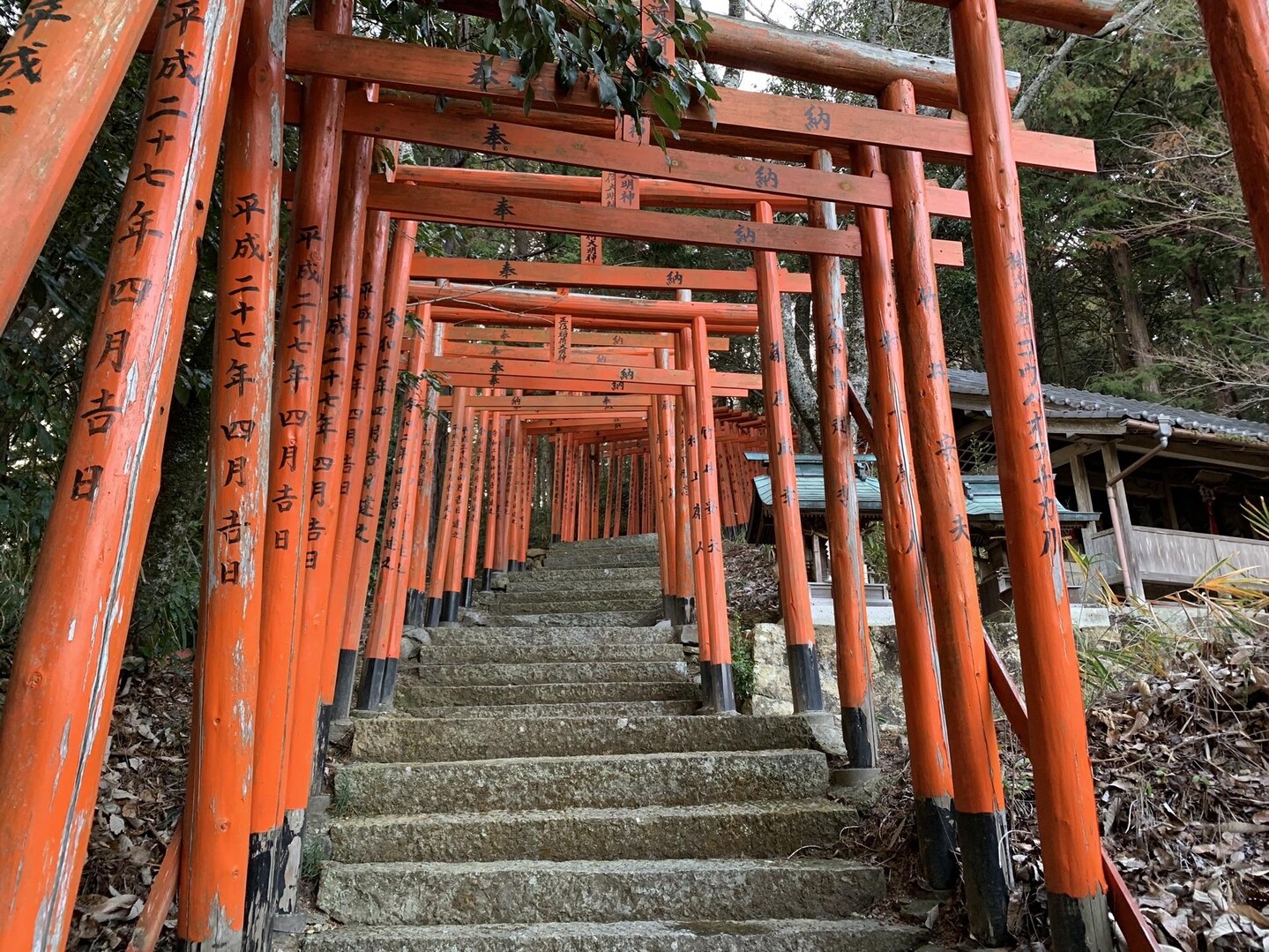 DOMO不要デス🙅🏻‍♂️ご近所PH 西脇市・丸山公園 喜多丸山 / okazakigoさんの石金山・イタリ山・浅香山の活動データ | YAMAP / ヤマップ