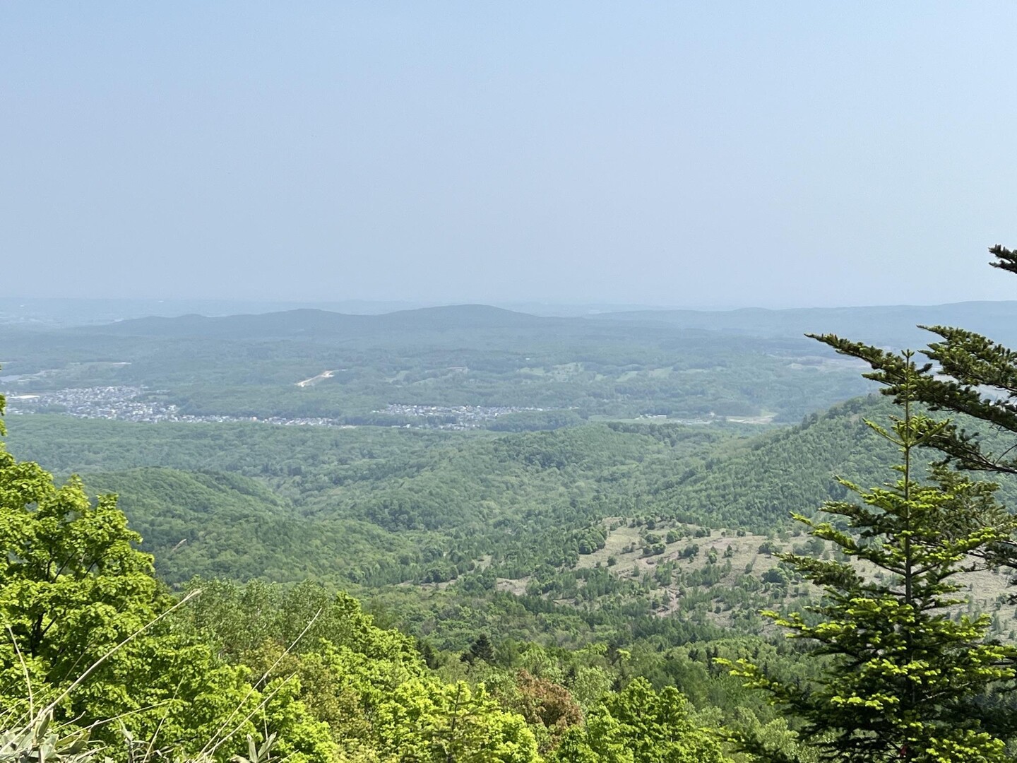 🔰藤野富士・🔰常磐ヒルズdeサラリと100座㊗️見晴台でお祝いありがとう / AYAさんの豊平山（焼山）の活動データ | YAMAP / ヤマップ