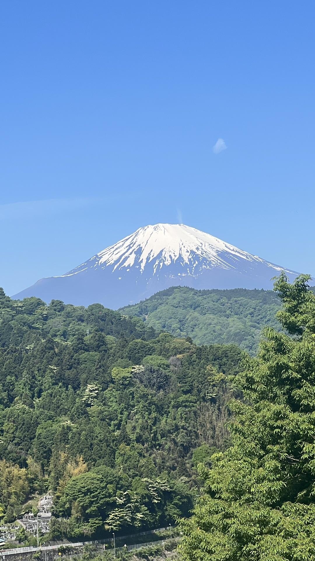 ベストシーズンの大野山 / Masako_Mさんの高松山・大野山の活動データ | YAMAP / ヤマップ