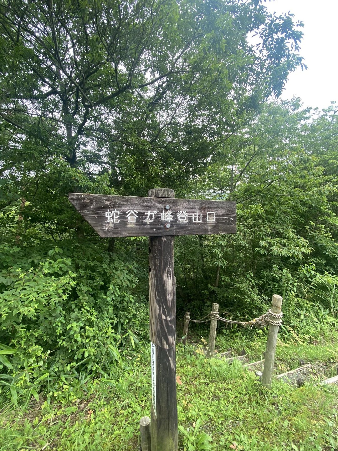 蛇谷ヶ峰 / MASAEさんの蛇谷ヶ峰の活動データ | YAMAP / ヤマップ