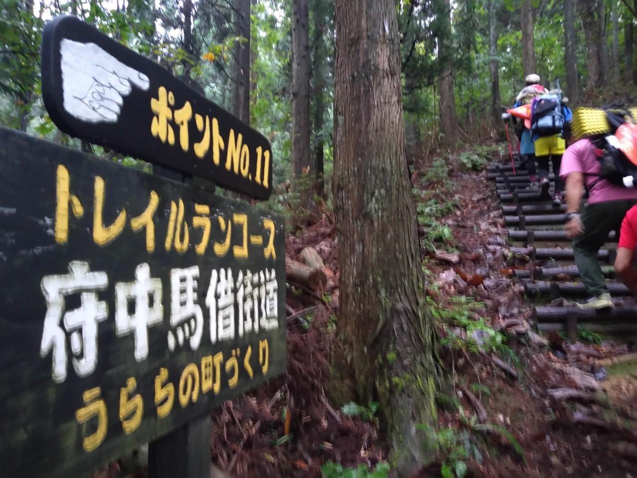 矢良巣岳 231001 / UmK うめさんの文殊山の活動データ | YAMAP / ヤマップ