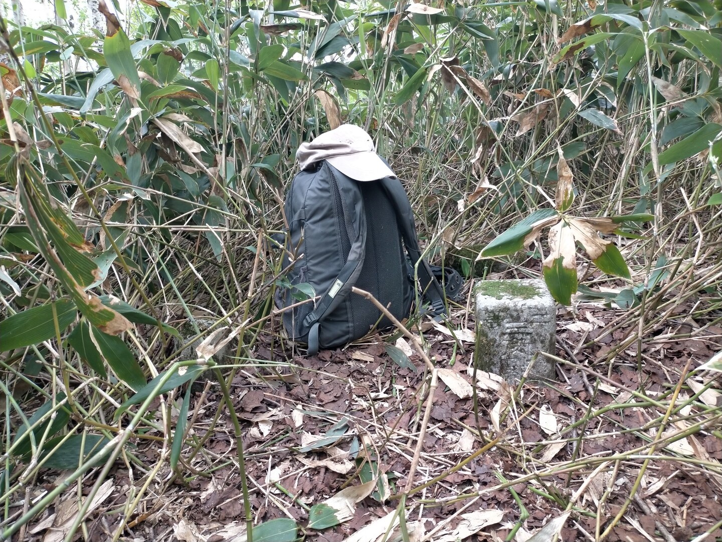 雲知来内岳 / oyoyoさんのGT3 8の活動日記 | YAMAP / ヤマップ