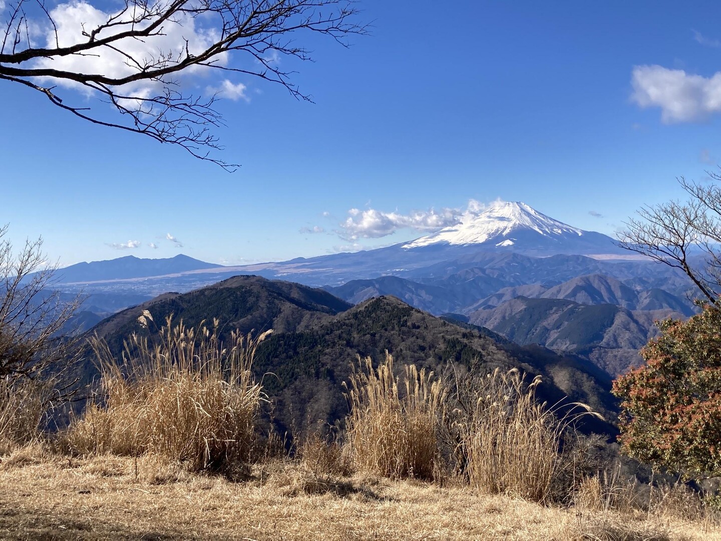 ‘23.1.4 鍋割山 / SSさんの塔ノ岳・丹沢山・蛭ヶ岳の活動データ | YAMAP / ヤマップ