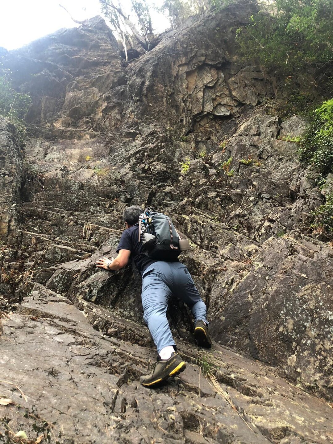 坊主山・赤岩山・御嶽山・古賀志山 / a-ziさんの古賀志山・赤岩山・鞍掛山・男抱山・半蔵山の活動データ | YAMAP / ヤマップ