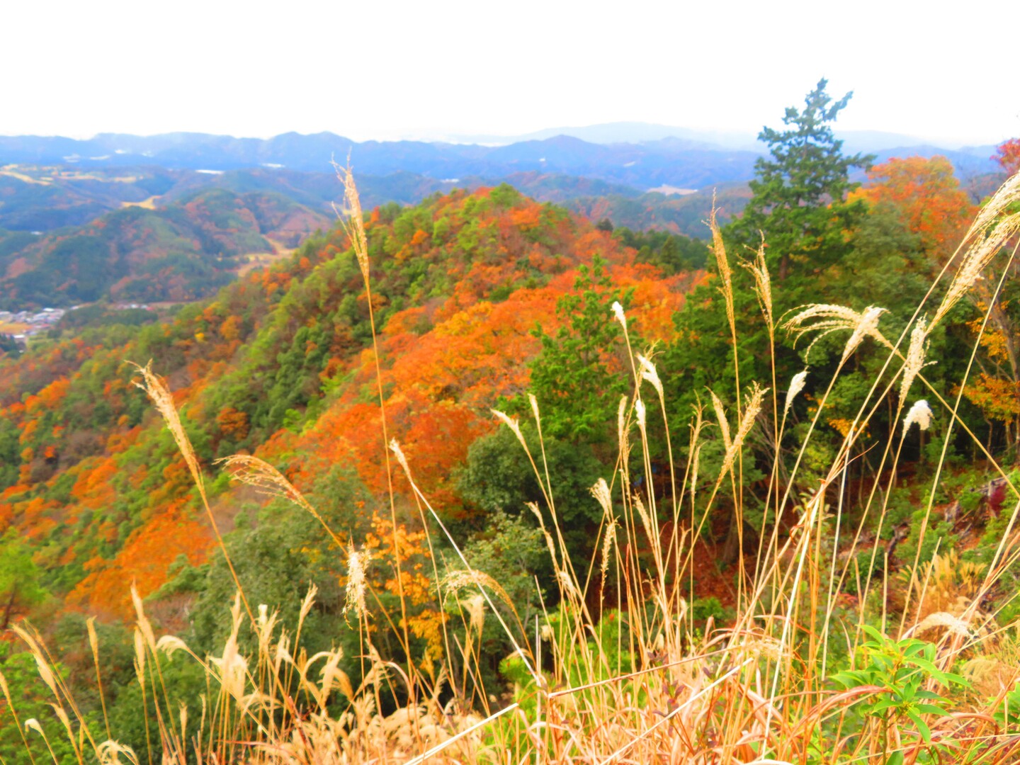 ウォーキング-2022-12-01 / ibizouさんの古城山の活動データ | YAMAP / ヤマップ