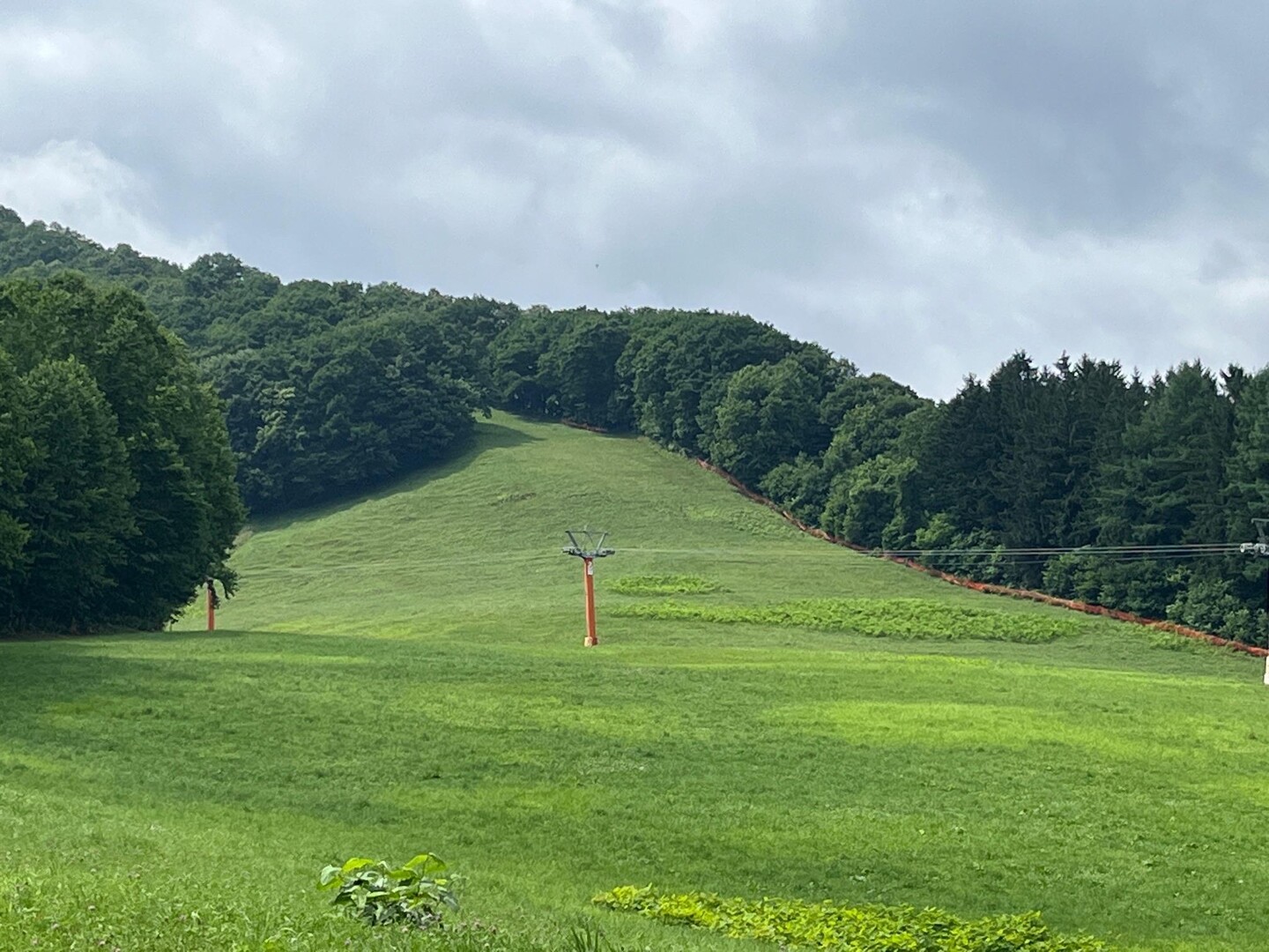 新得山-2024-07-27 / Ma-buさんの新得山の活動データ | YAMAP / ヤマップ