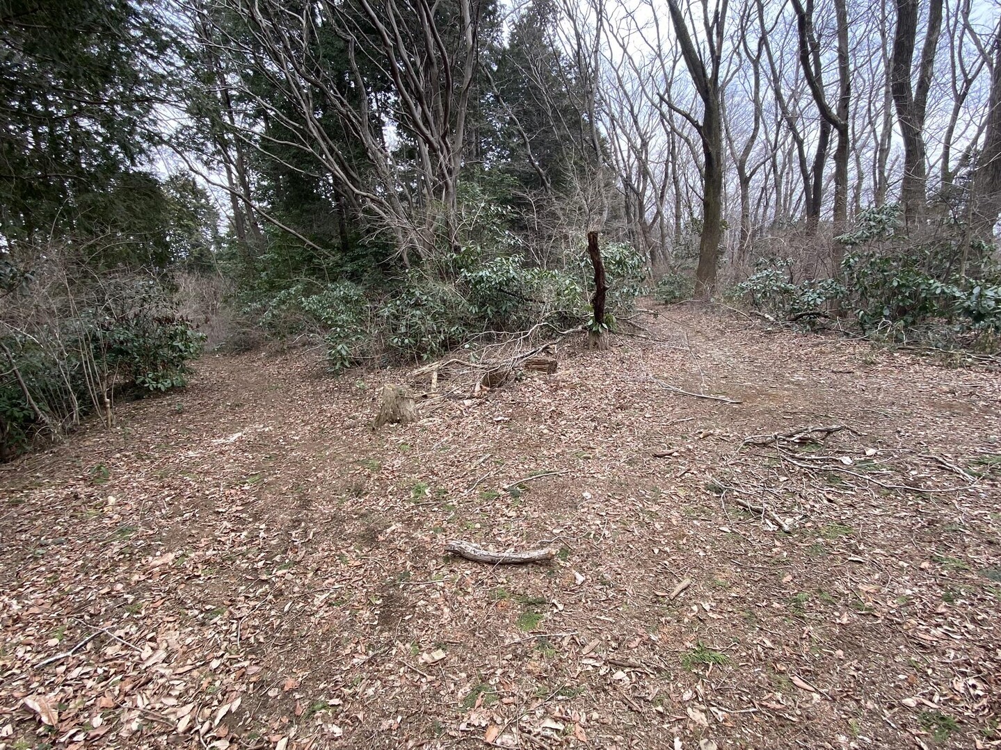 Gentil15さんの投稿したフィールドメモ | YAMAP / ヤマップ