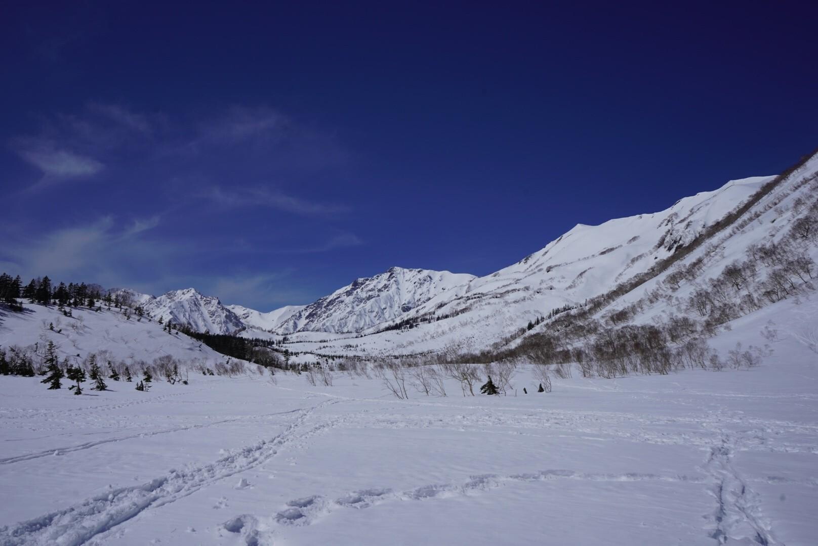 栂池自然園-2023-03-21 / Komaさんの栂池高原スキー場の活動日記 | YAMAP / ヤマップ
