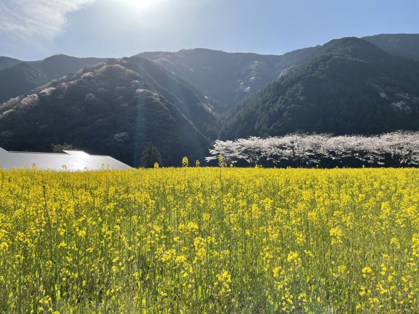 LuLuのページ | YAMAP / ヤマップ