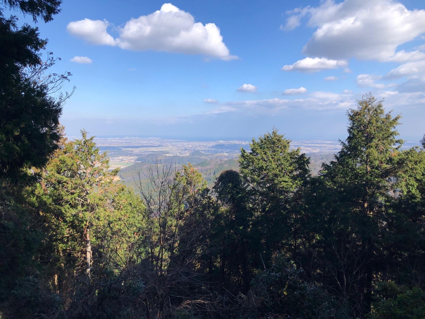 大明神山・大明神山（西峰）・瀬戸谷ノ高 / Zak-Sanさんの大明神山の活動データ | YAMAP / ヤマップ