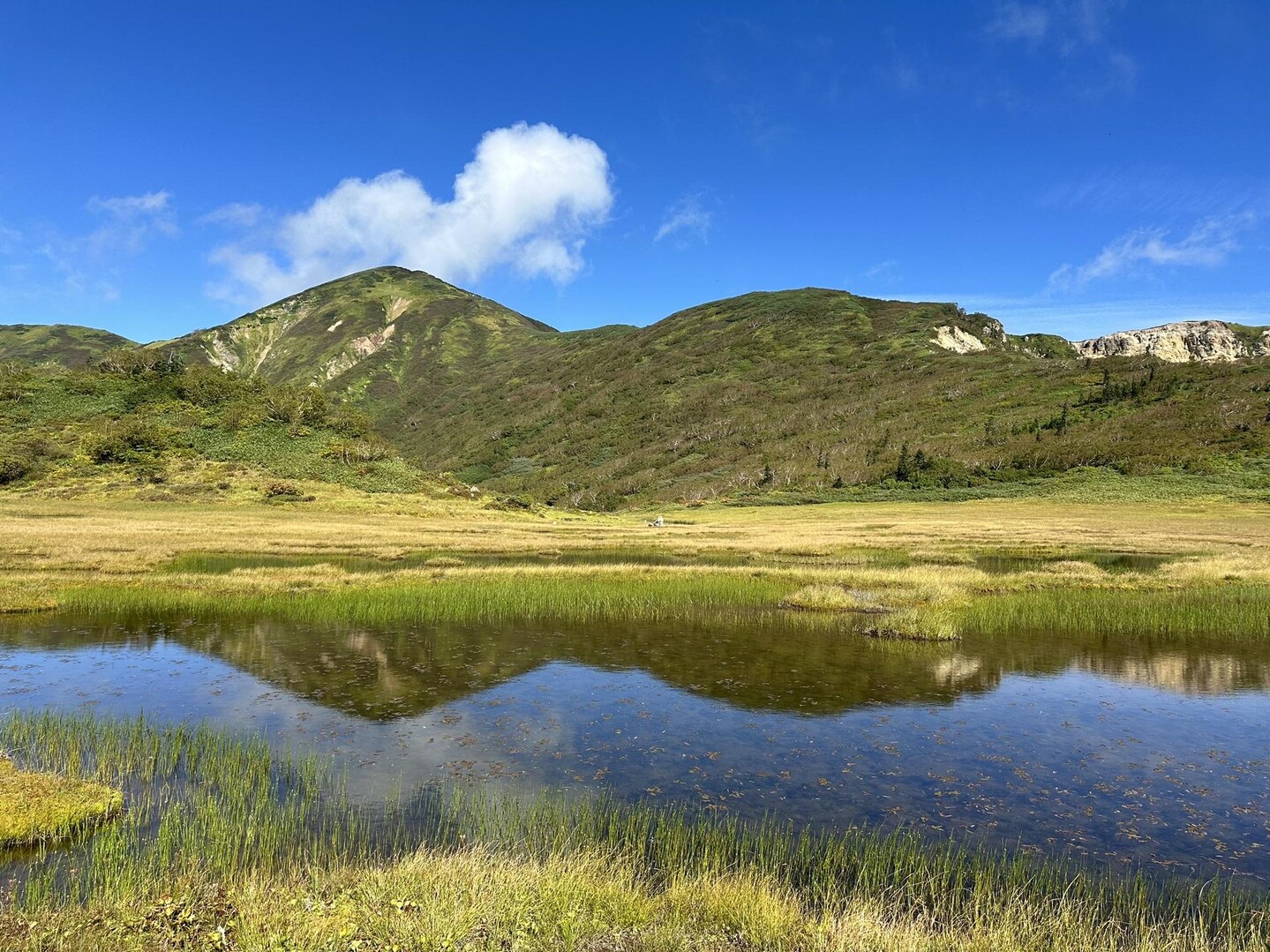 火打山#47 / Highwindさんの妙高山・火打山の活動データ | YAMAP / ヤマップ