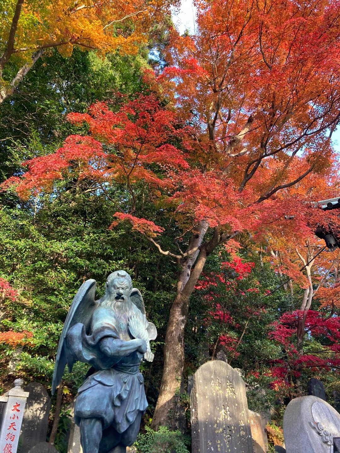 冬はつとめて 紅葉の高尾山－城山－相模湖 / pagdoggyさんの高尾山・陣馬山・景信山の活動データ | YAMAP / ヤマップ