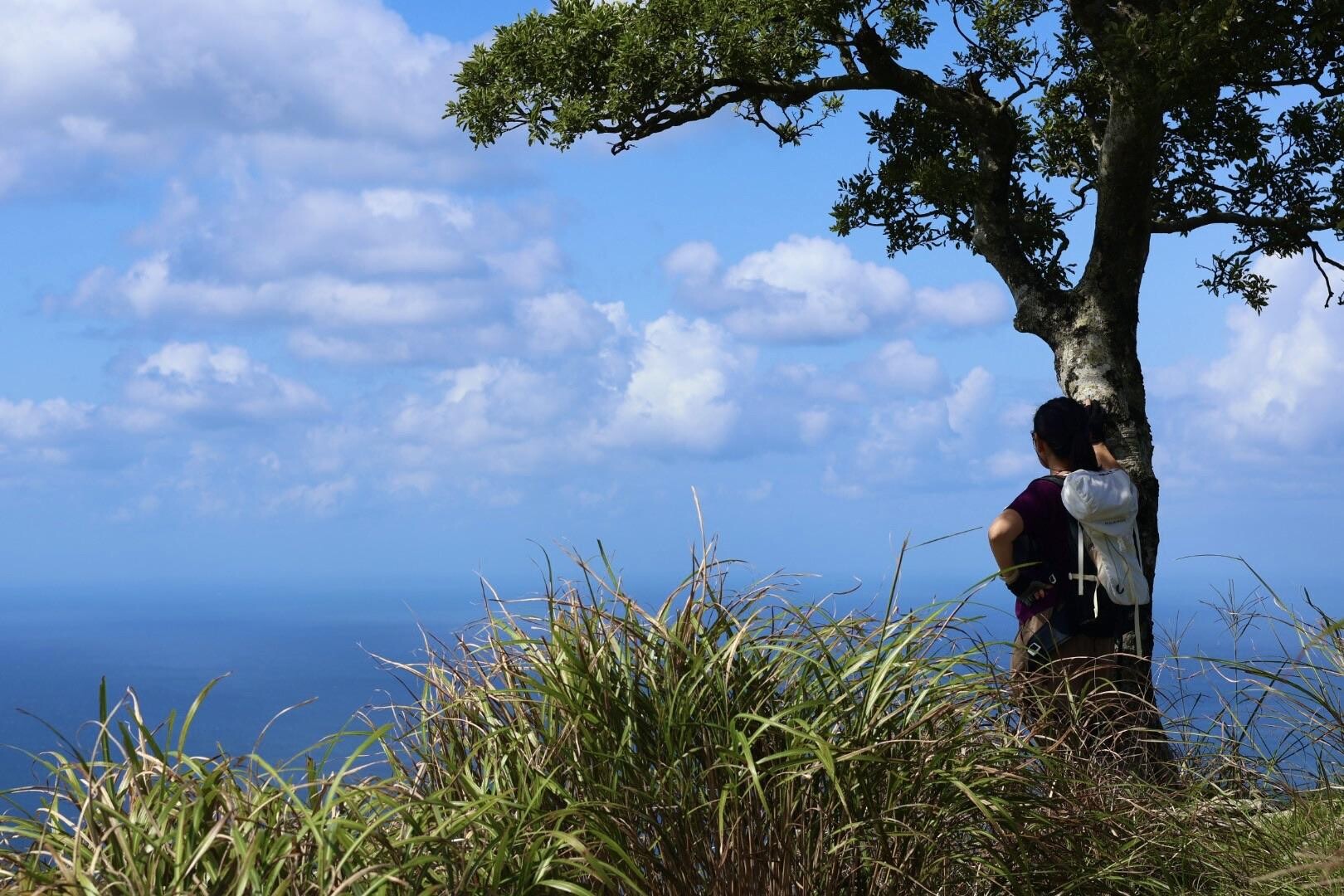 出雲弥山 3rd / 伊達と酔狂さんの鼻高山・弥山・旅伏山の活動データ | YAMAP / ヤマップ