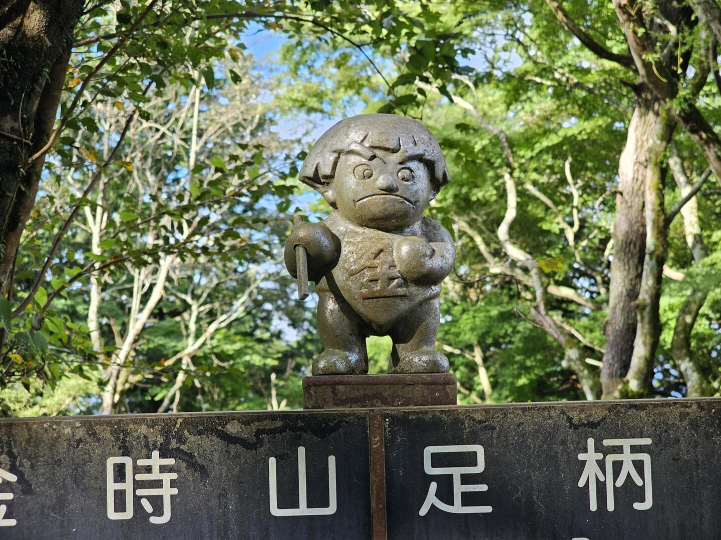 丸鉢山・金時山 / naka-zさんの金時山・明神ヶ岳の活動データ | YAMAP / ヤマップ