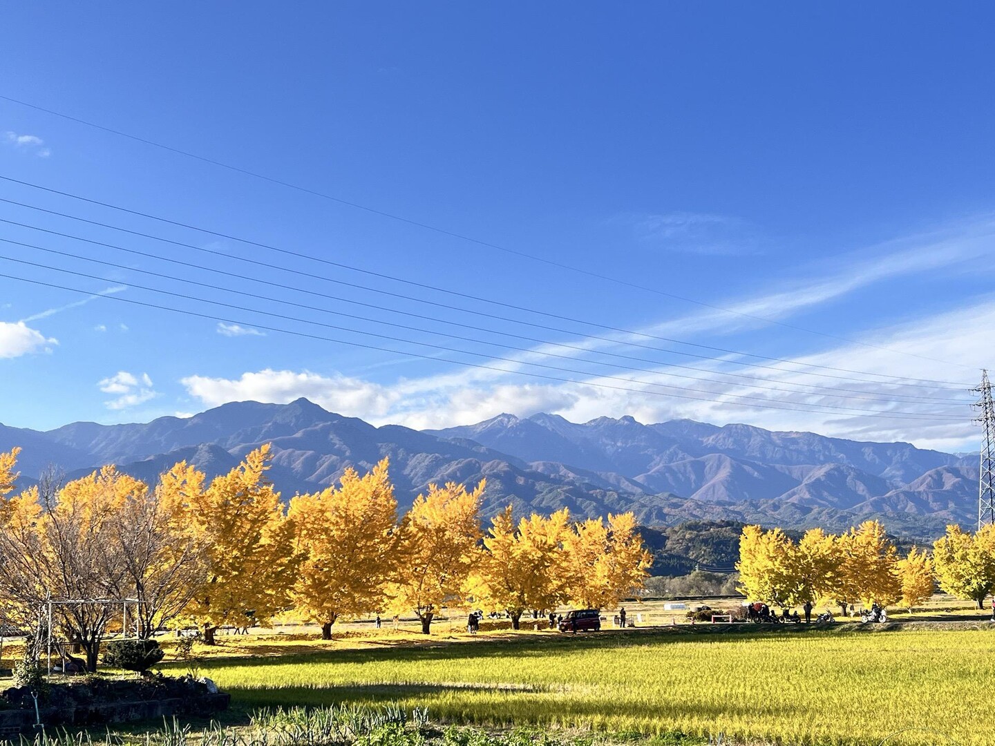 高烏谷山 / kuma.yukaさんの高烏谷山の活動データ | YAMAP / ヤマップ