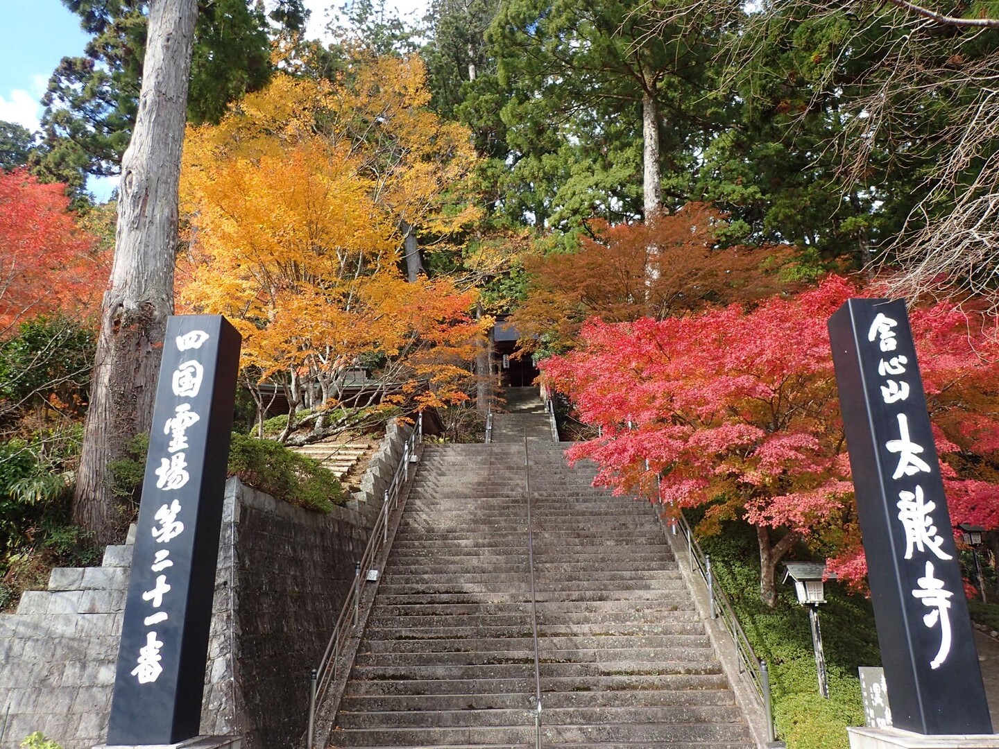太竜寺山 かも道～太龍寺山～太龍寺道ピストン / S.Kitaさんの太竜寺山の活動データ | YAMAP / ヤマップ