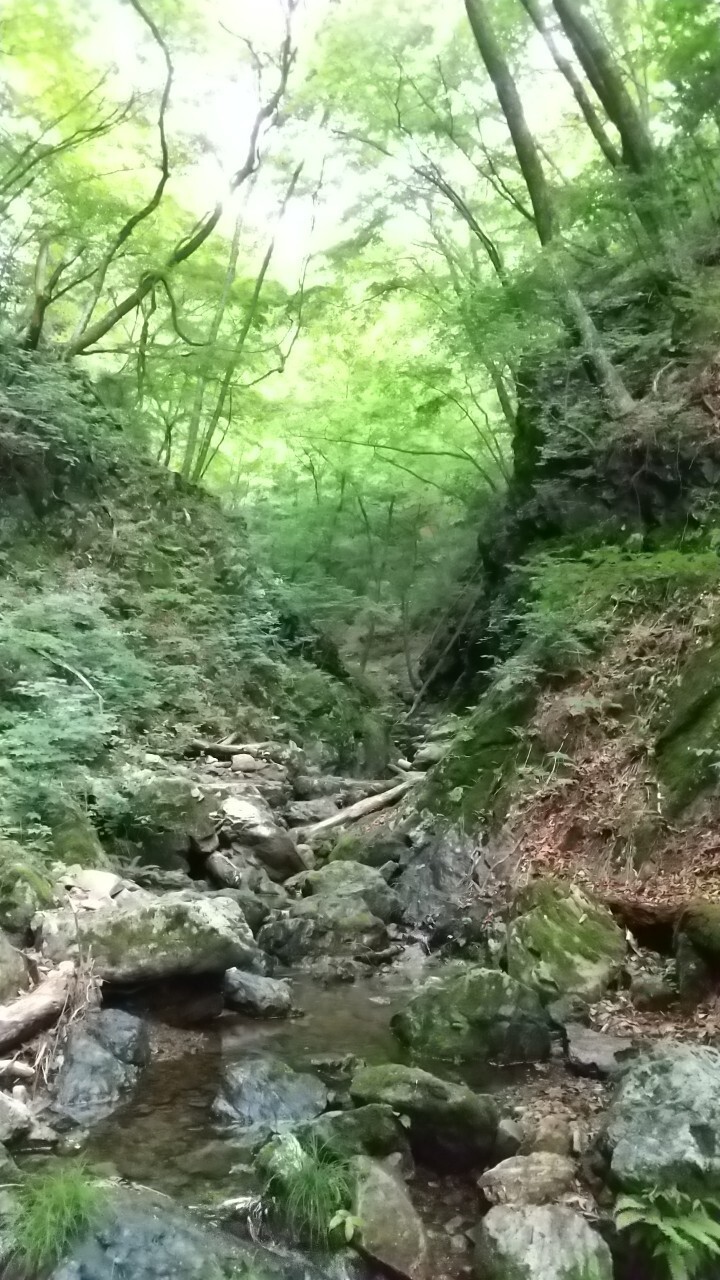 御岳山・奥の院峰 / やまとさんの大岳山・御岳山・御前山の活動データ | YAMAP / ヤマップ