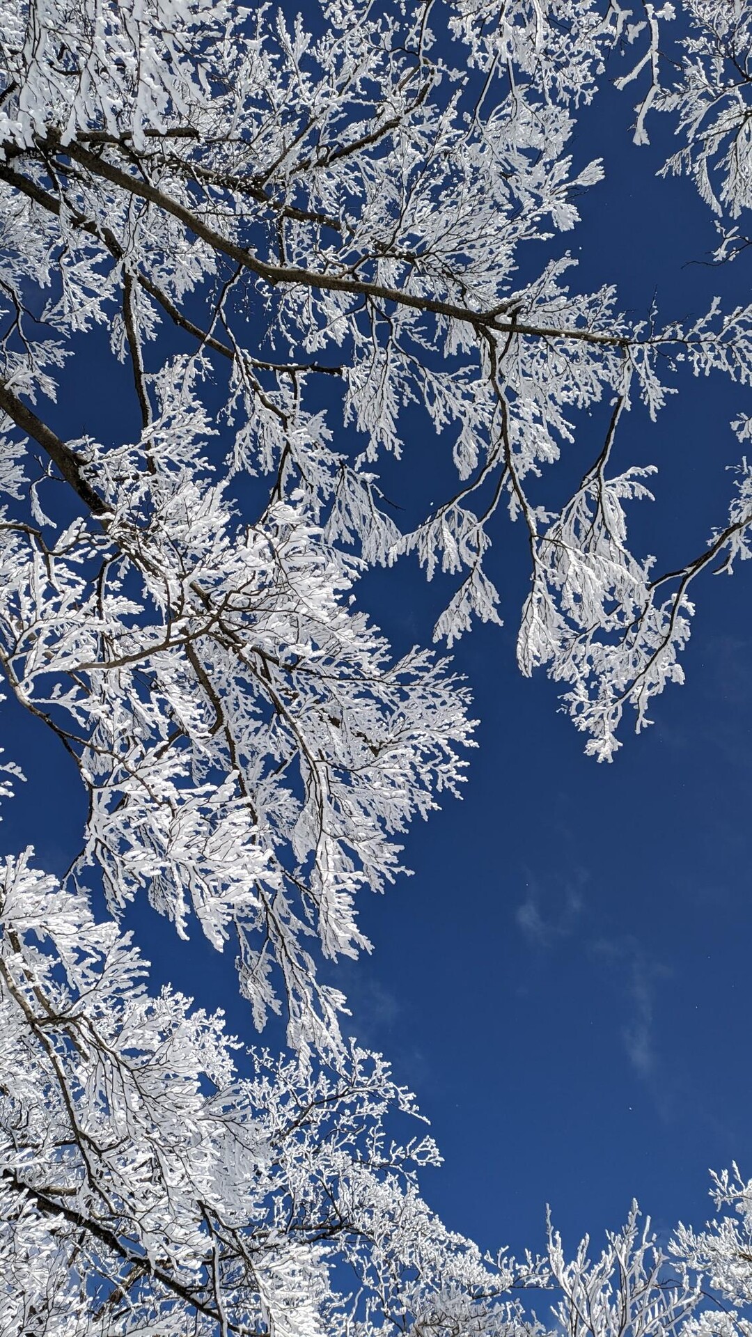 塔ノ岳・丹沢山 / Ke-iさんの塔ノ岳・丹沢山・蛭ヶ岳の活動データ | YAMAP / ヤマップ