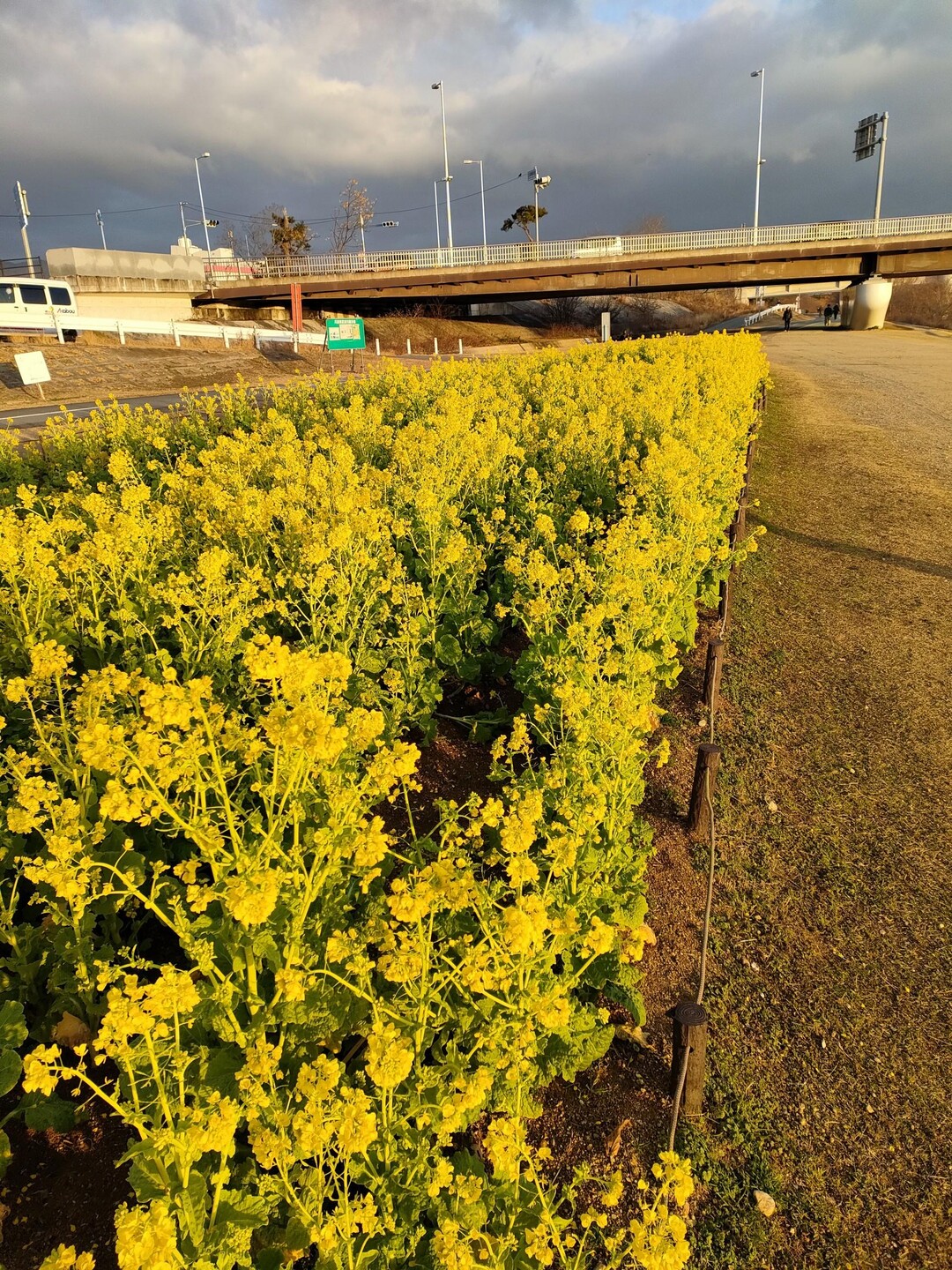 ウォーキング-時速6km達成！ / 熟年ドラゴンさんのウォーキングの活動データ | YAMAP / ヤマップ