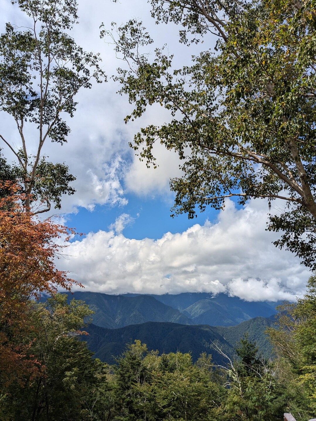 櫛形山 / ko-riさんの櫛形山・裸山・唐松岳の活動データ | YAMAP / ヤマップ