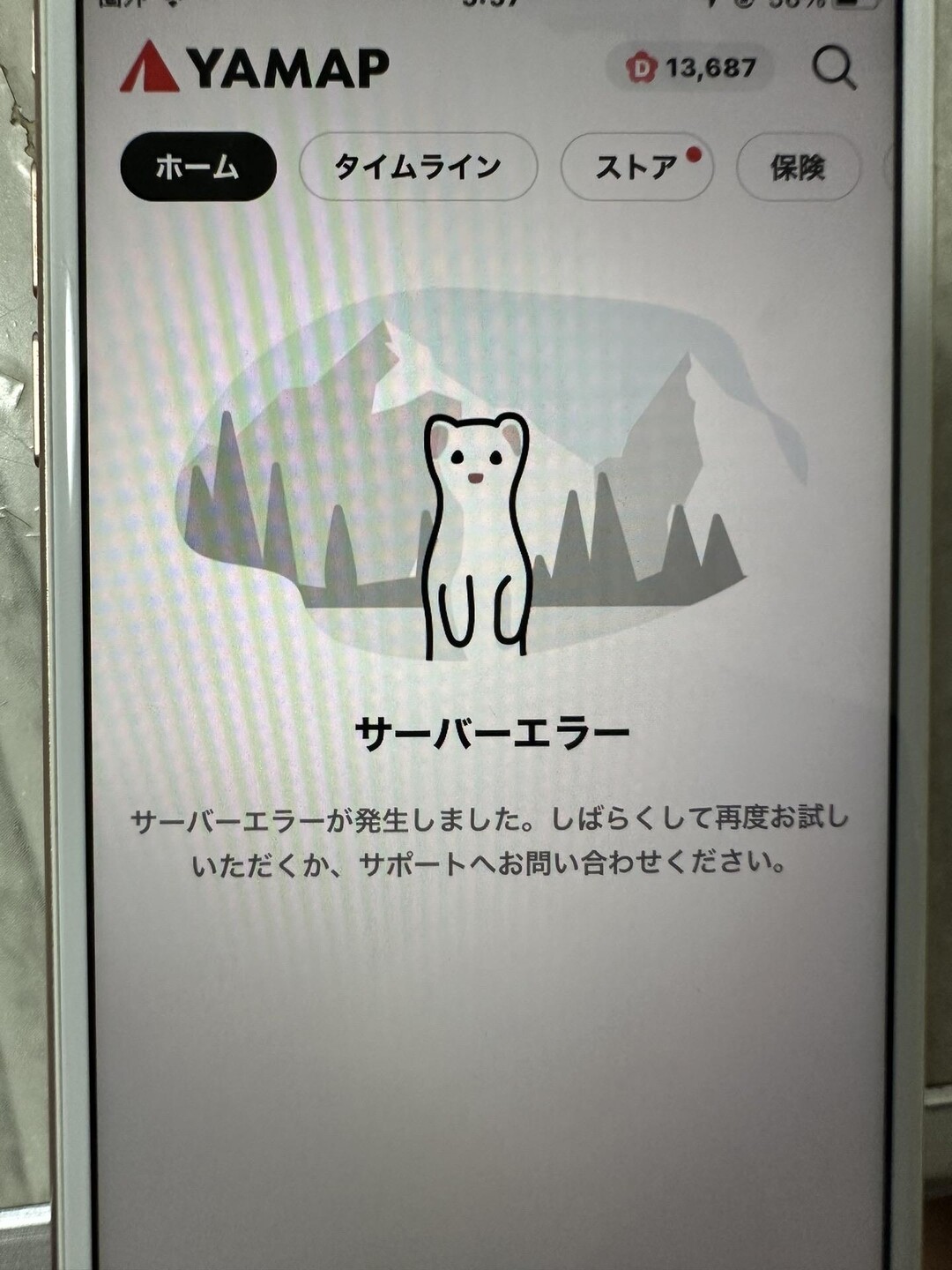 YAMAPサーバーエラー祭り💀月見山＋高山2024-07-18 / いぬ登山部さんの高良山・発心山・鷹取山の活動データ | YAMAP / ヤマップ