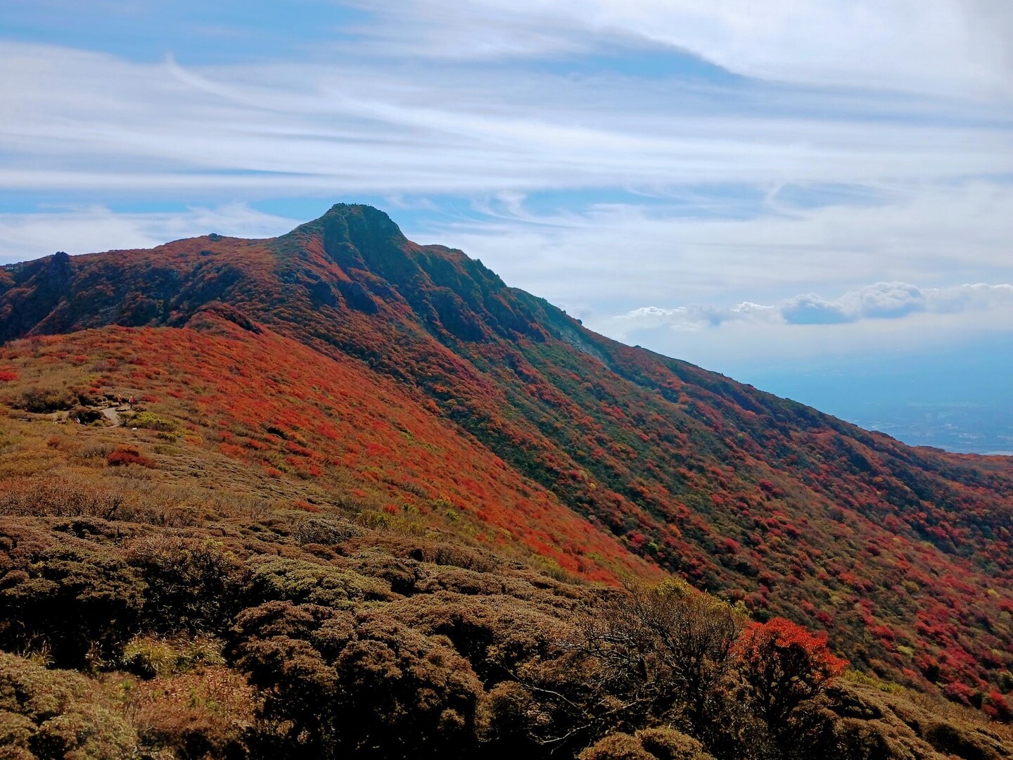 山三昧2日目⛰️大船山🍁 / hiroyoさんの九重山（久住山）・大船山・星生山の活動データ | YAMAP / ヤマップ