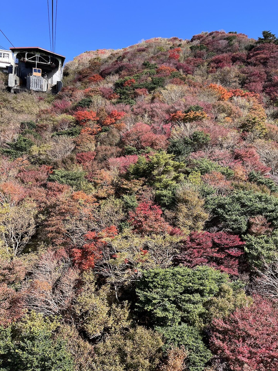 登山とかしない友人二人と一緒に長崎雲仙に... / gumiさんのモーメント | YAMAP / ヤマップ